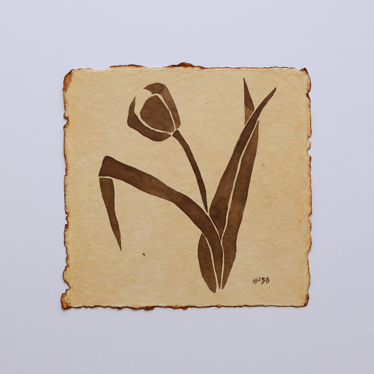 Sepia Tulip 27, 8x8" – Rebekah Webb Studio